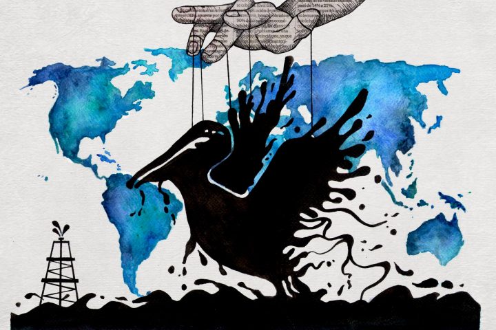 Bow Seat Announces Winners of 2016 Ocean Awareness Student Contest ...