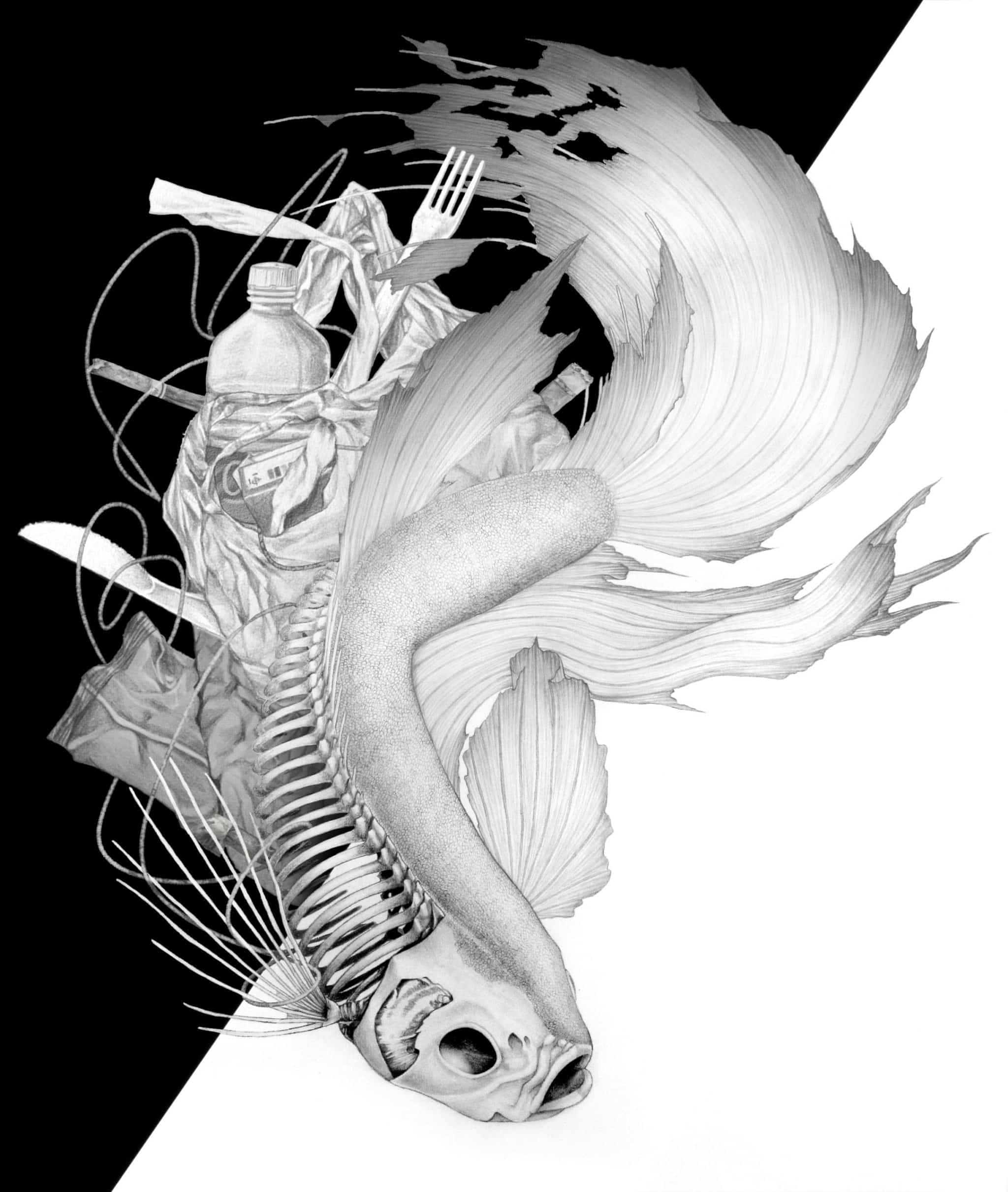 Mors Sordida • Bow Seat Creative Action for Conservation