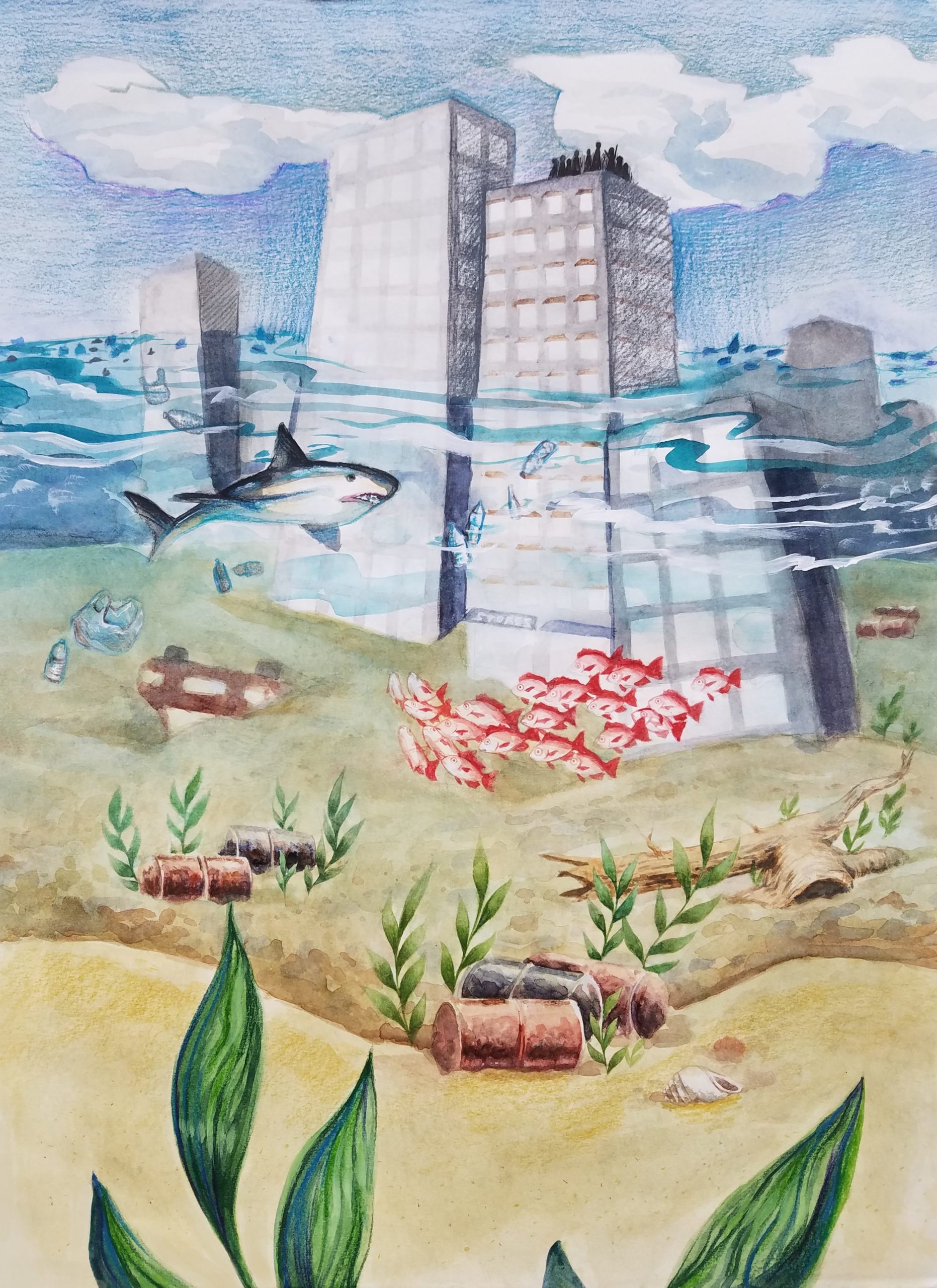 Drowning Cities • Bow Seat Creative Action for Conservation