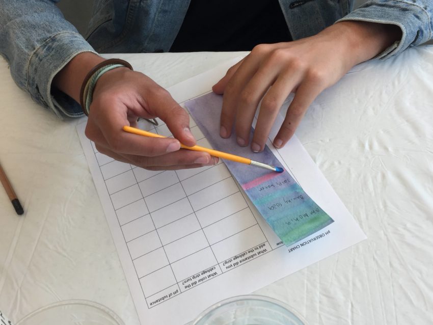 Bringing Ocean Acidification to Life Through Art & Science | Bow Seat ...