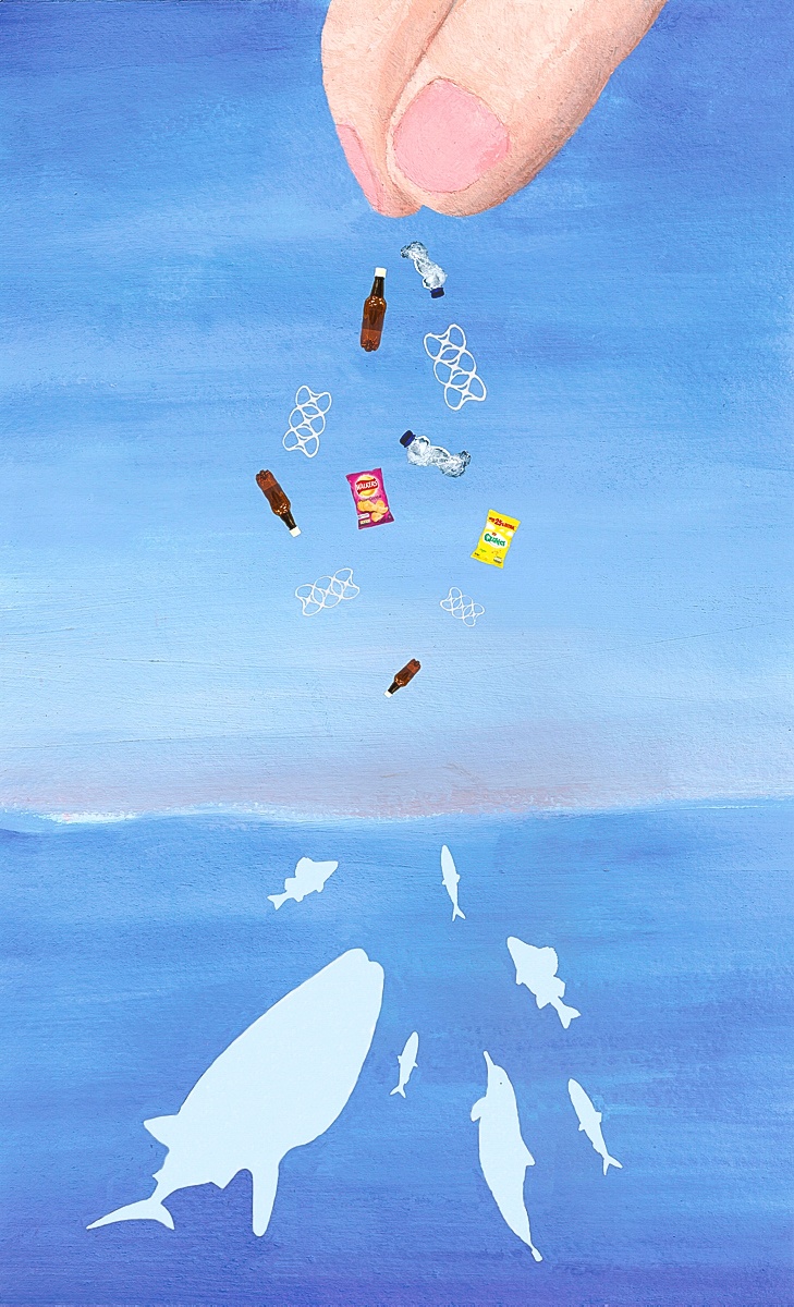 Untitled • Bow Seat Ocean Awareness Programs