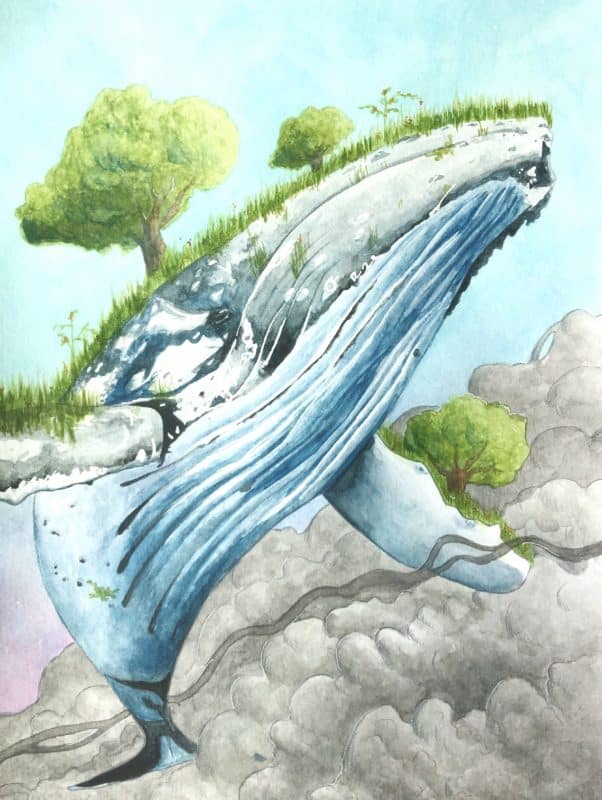 Green Baleen • Bow Seat Creative Action for Conservation | Bow Seat ...