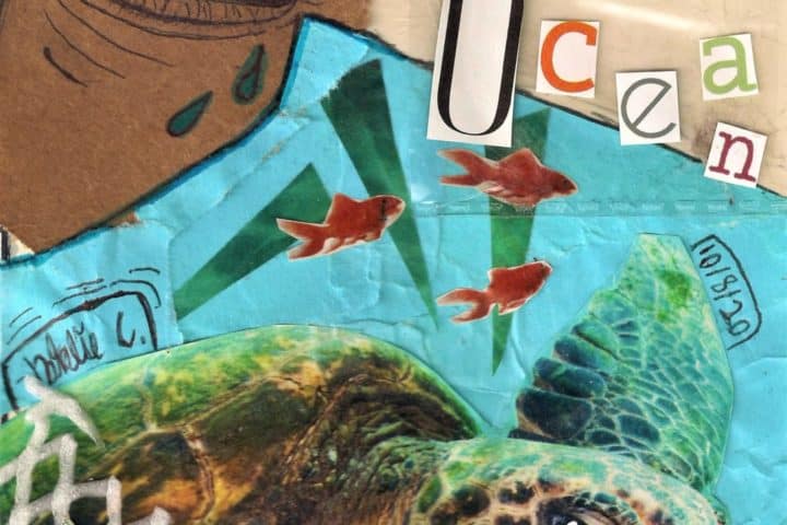 Guide to Visual Arts Mediums | 2D | Paper Collage | Bow Seat Creative ...