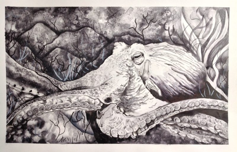 Greyscale: An Ocean Without Color • Bow Seat Ocean Awareness Programs