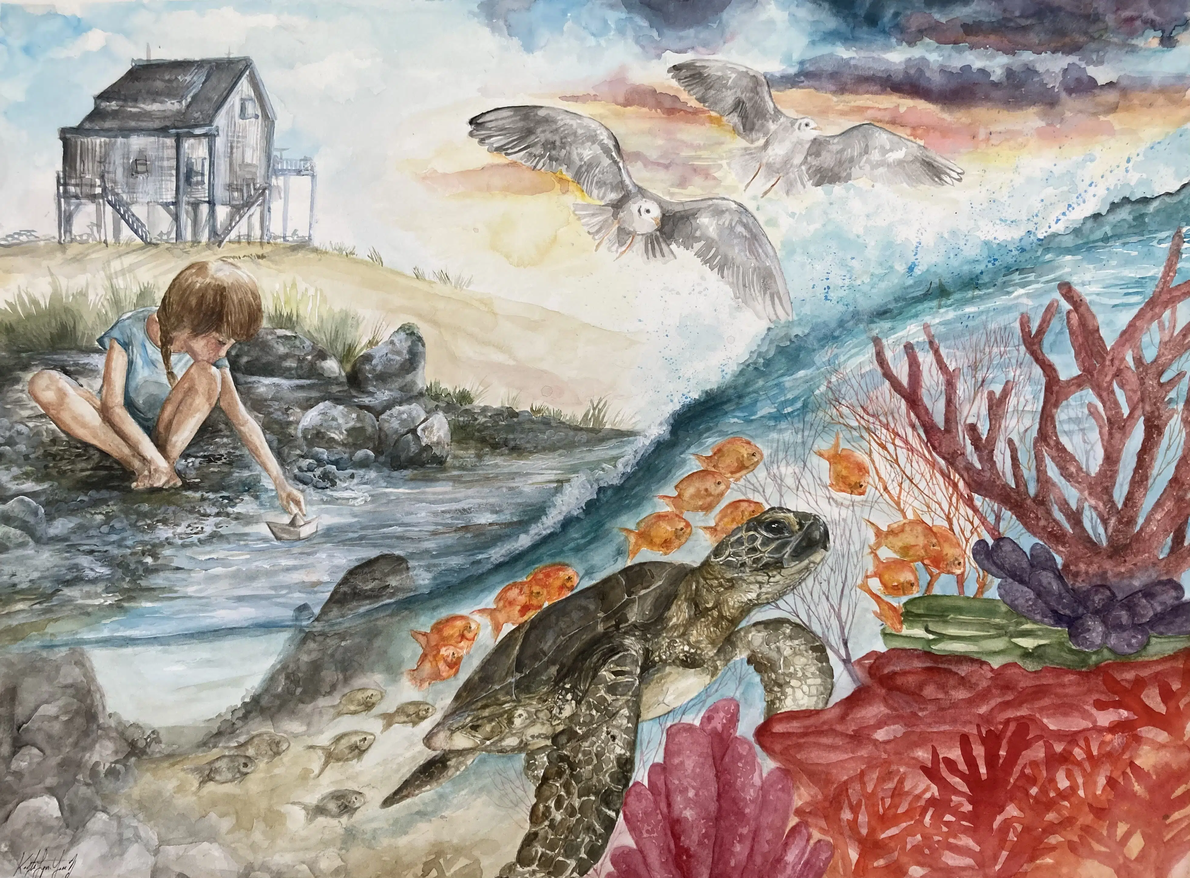 What’s Your Climate Story? Bow Seat’s 2024 Ocean Awareness Contest ...