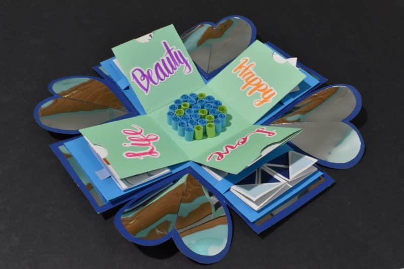 The Reflection in the Mirror • Bow Seat Creative Action for Conservation