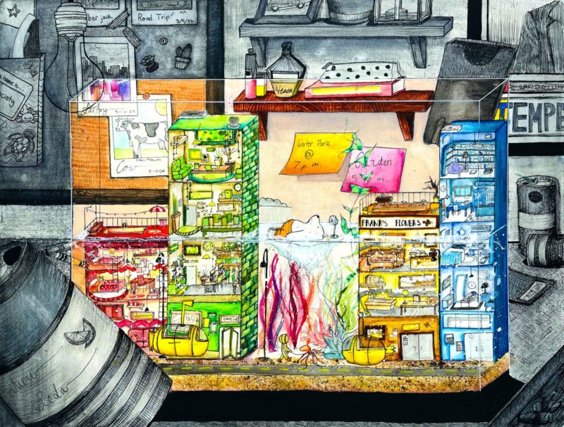 Humanity’s Fish Tank • Bow Seat Ocean Awareness Programs