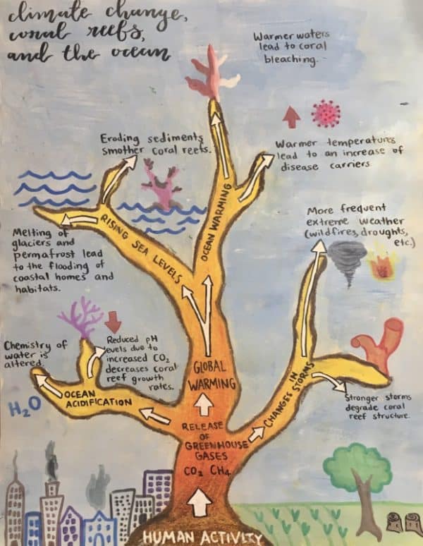 Turning the Tide: A Podcast Game Show • Bow Seat Ocean Awareness Programs