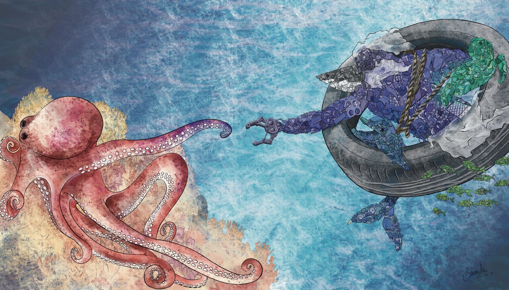 The Creation • Bow Seat Ocean Awareness Programs