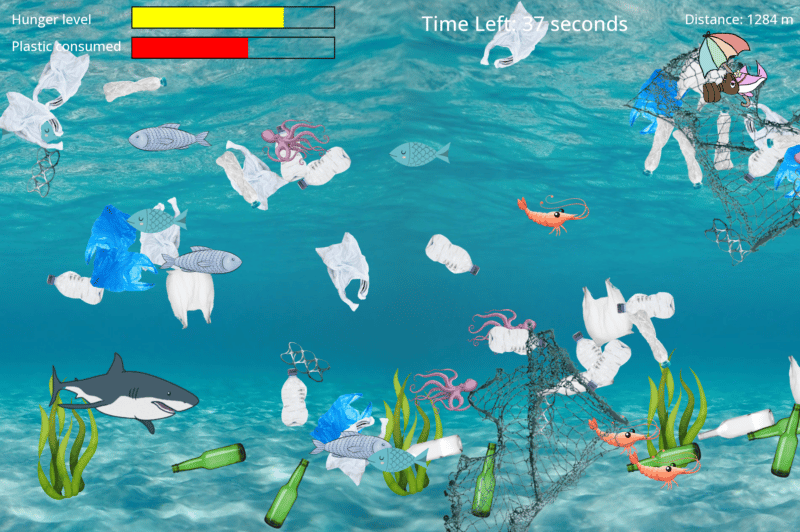 Rescue Mission • Bow Seat Ocean Awareness Programs