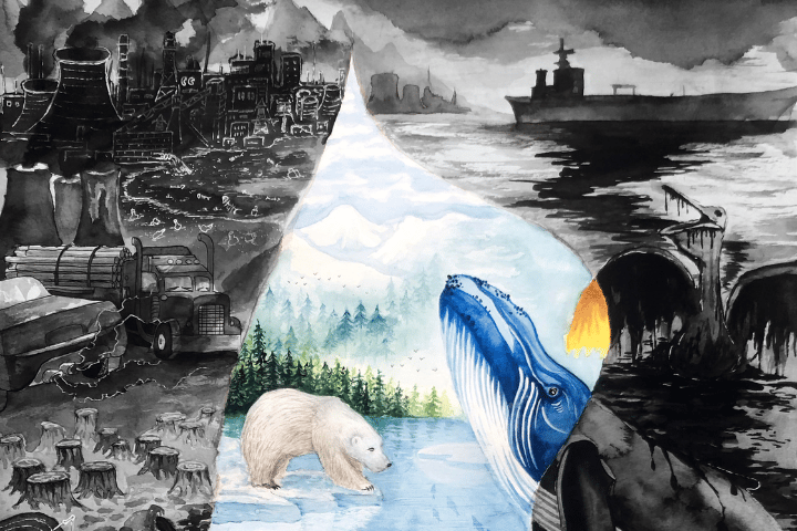 Oil Spills: A Silent Enemy | Bow Seat Creative Action for Conservation