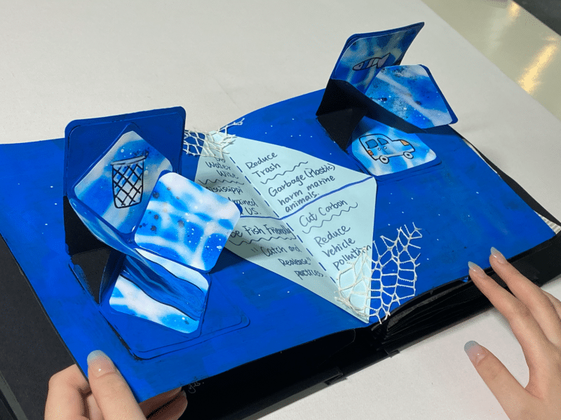 How to be a Climate Change Hero • Bow Seat Creative Action for Conservation