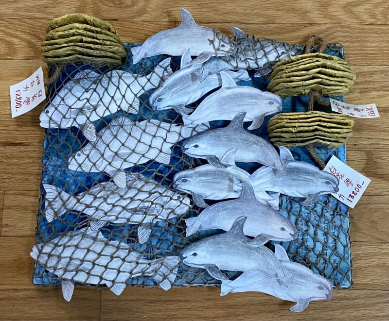 The Vaquita • Bow Seat Creative Action for Conservation