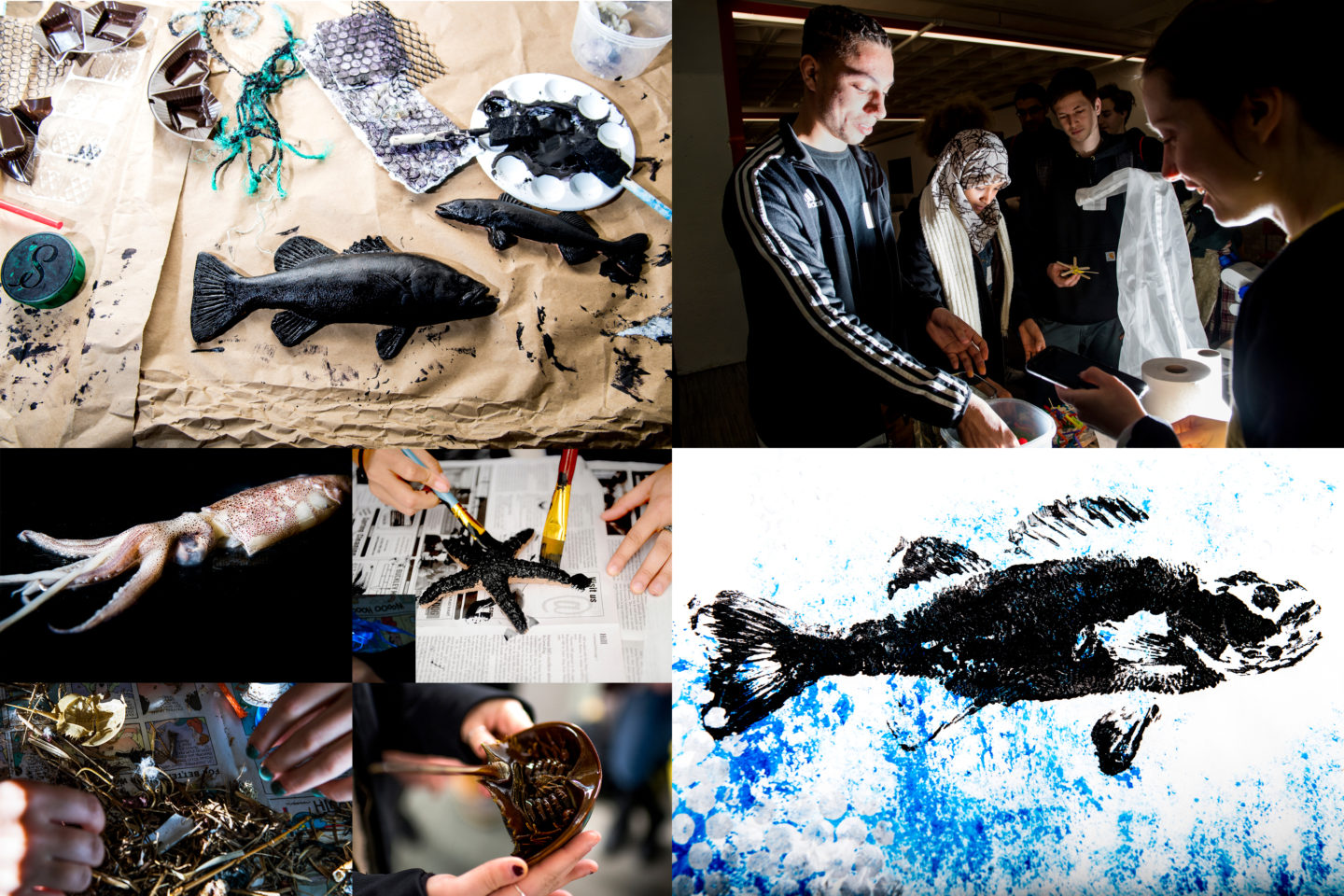 High School Marine Science Symposium • Bow Seat Creative Action for ...