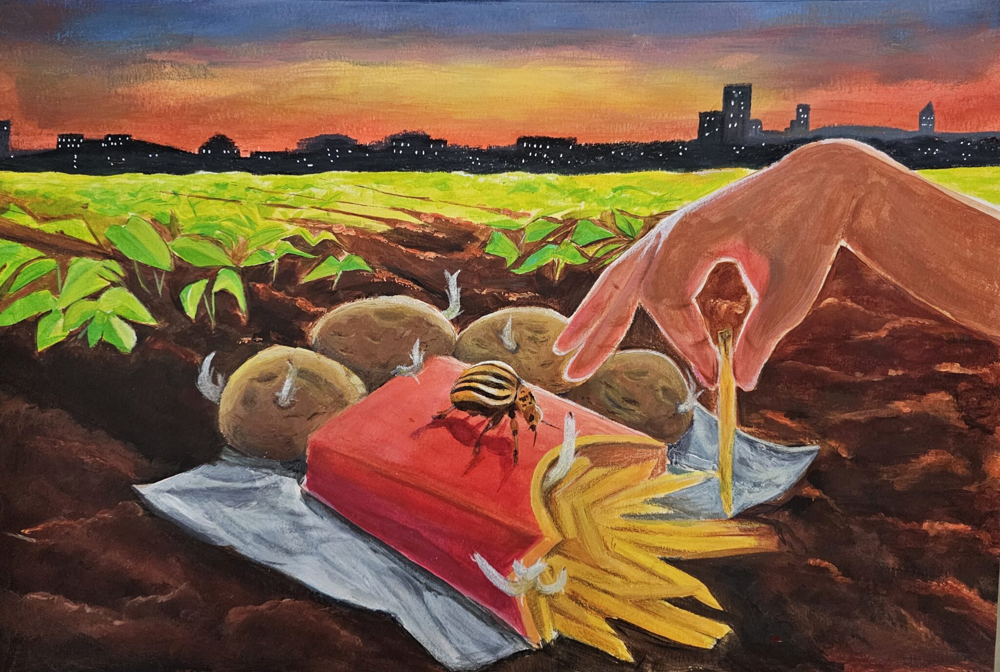 Save The Potatoes! • Bow Seat Ocean Awareness Programs