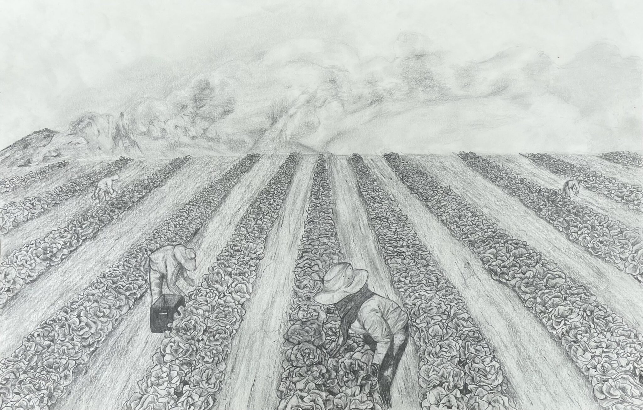 Braceros • Bow Seat Creative Action for Conservation | Bow Seat ...