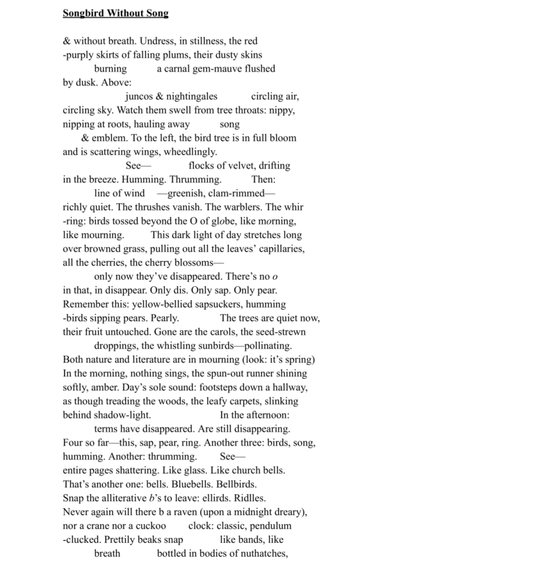 Songbird Without Song • Bow Seat Ocean Awareness Programs